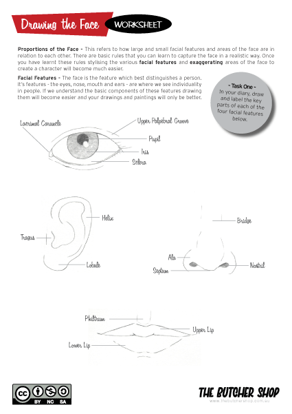 Drawing Face Proportions Handout